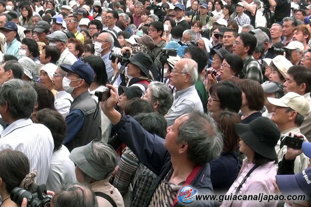 Chiryu Festival - Japan Guide