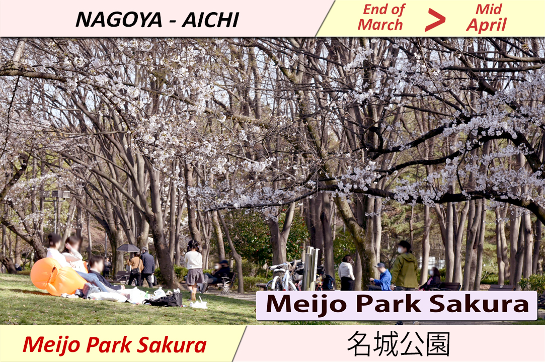 Nagoya - Japan Guide