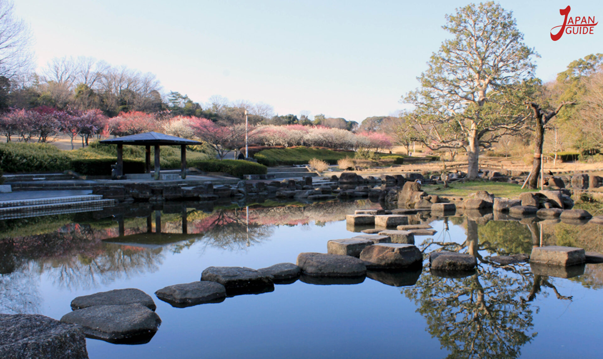 Odaka Park Plum Blossom Festival - Japan Guide