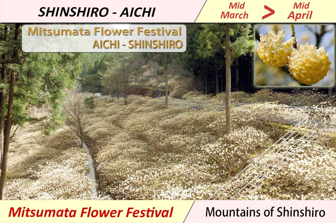 Shinshiro - Japan Guide