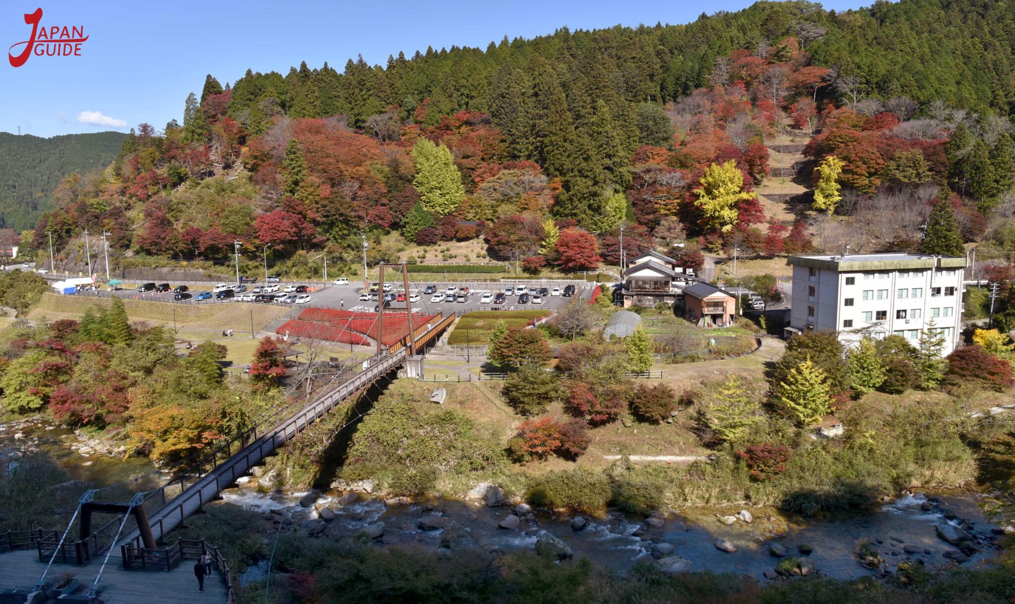 Autumn Leaves of Oidaira Park - Japan Guide