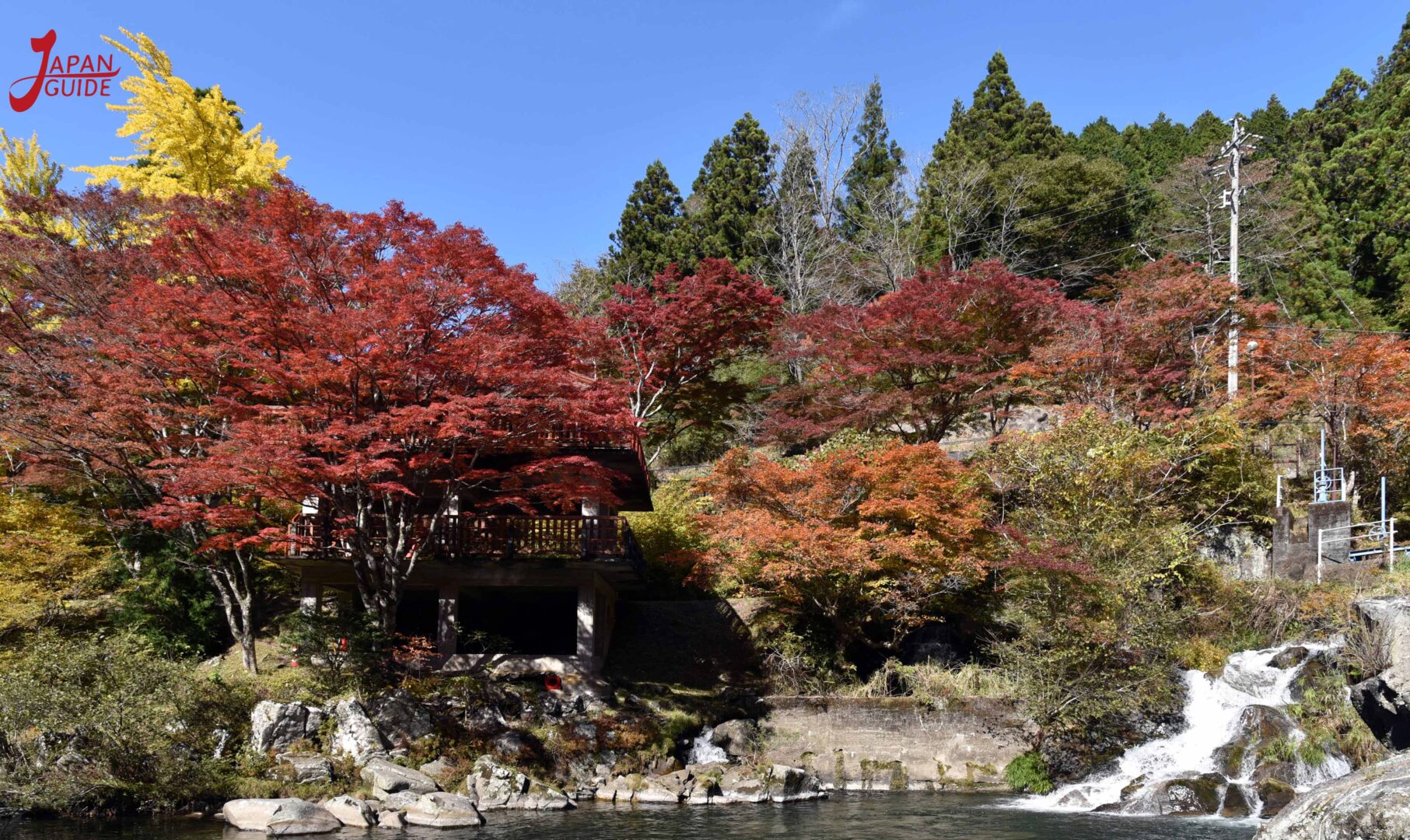 Autumn Leaves of Oidaira Park - Japan Guide