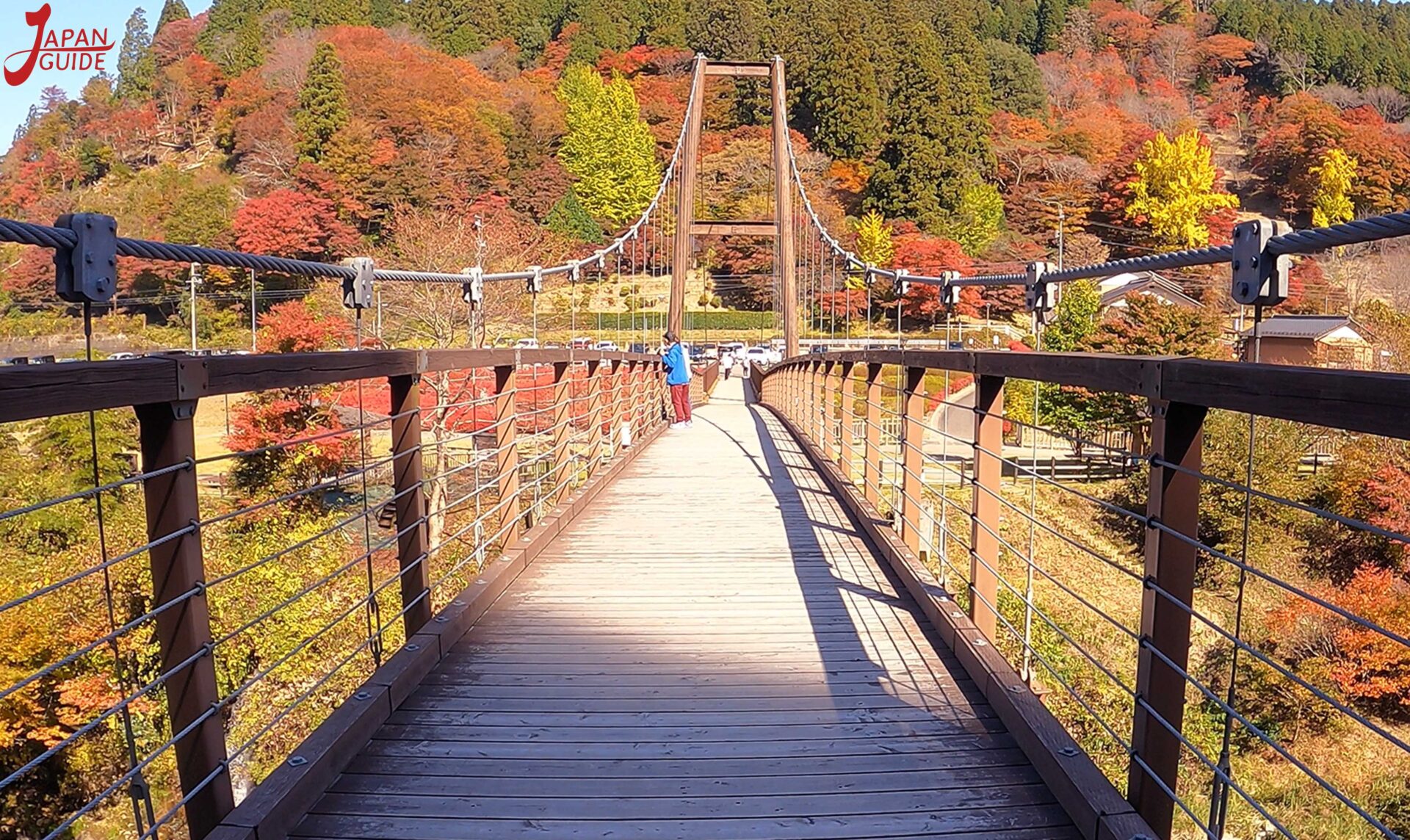 Autumn Leaves of Oidaira Park - Japan Guide