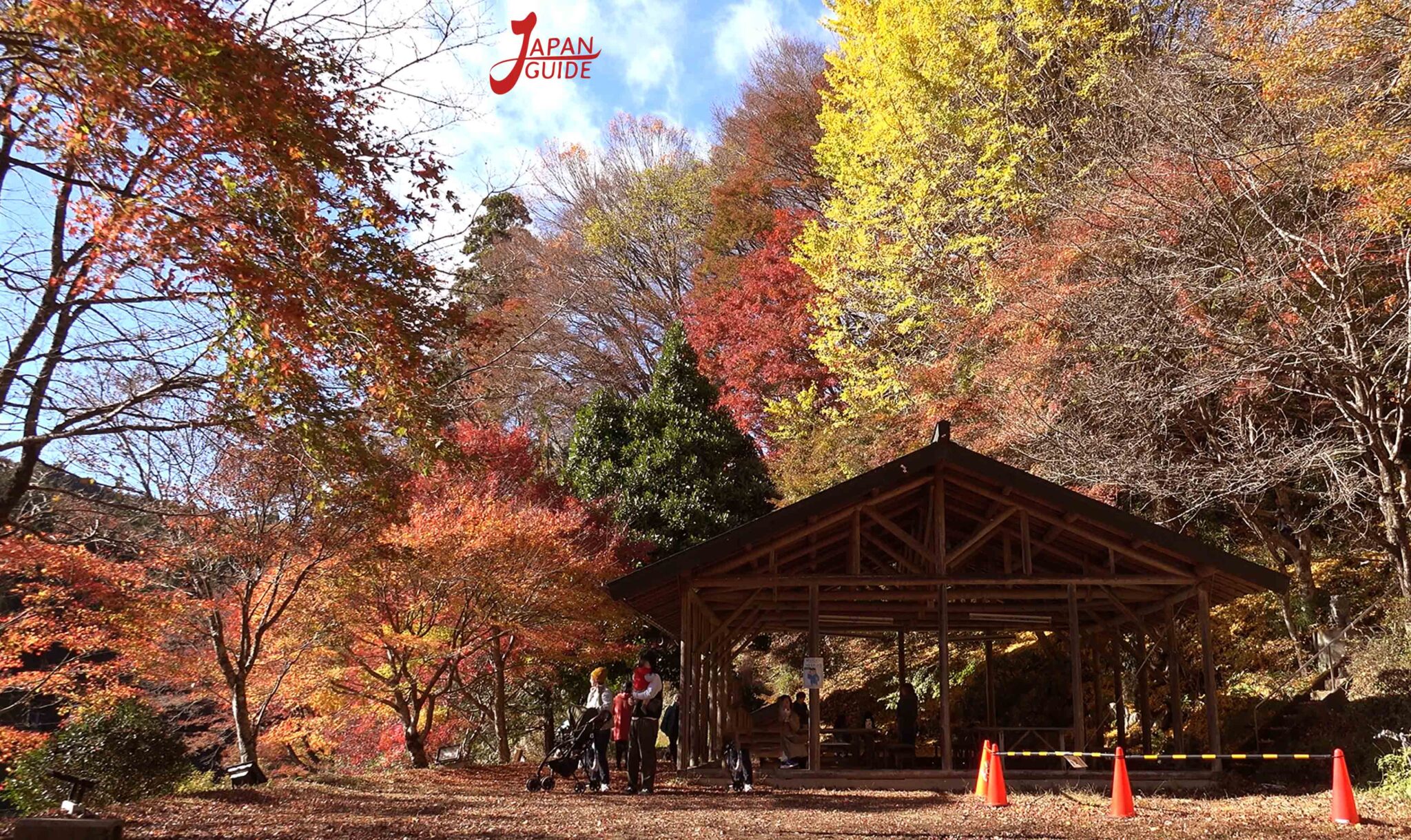 Autumn Leaves of Oidaira Park - Japan Guide